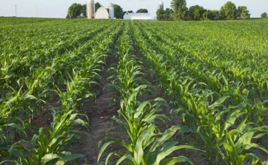 List of Agricultural Policies in Nigeria