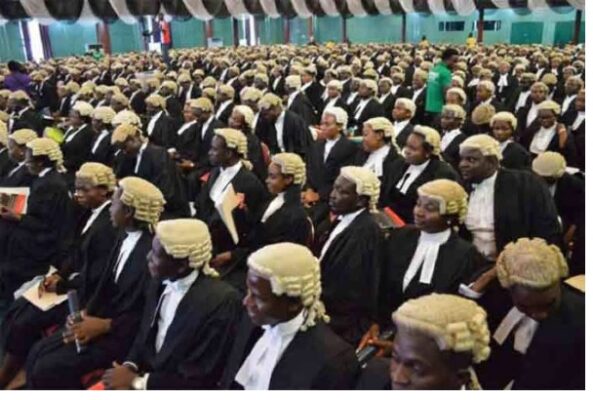 Types of Lawyers in Nigeria – Nigerian Finder